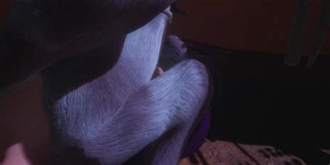 Wild Life Shey X Goat Tnaflix Com