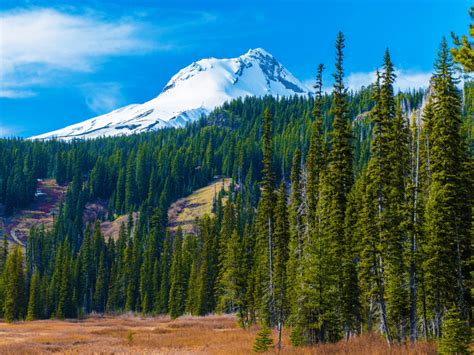 14 Unique Places In Oregon Natural Wonders Of The State That Cant Be Missed