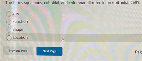 Solved The Terms Squamous Cuboidal And Columnar All Refer