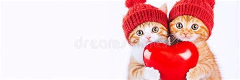 Cute Cats Holding Heart Shape Two Adorable Cats Wearing Red Hats Hold A
