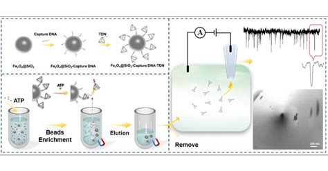 Specific Small Molecule Detection Using Designed Nucleic Acid