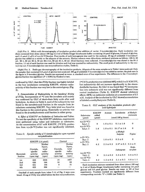 Hypoglycin A A Specific Inhibitor Of Isovaleryl Coa Dehydrogenase Pmc