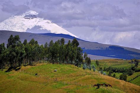 Ecuador Travel Reasons You Need To Visit Ecuador Right Now Thrillist