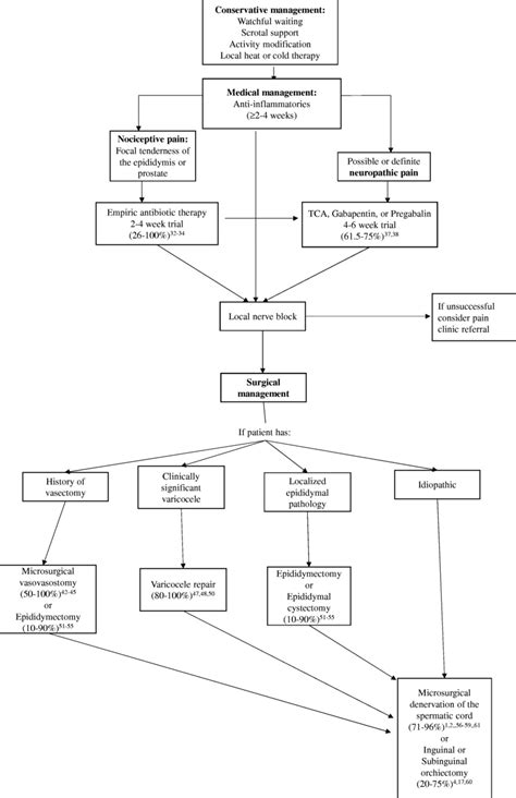 Potential Treatment Algorithm For Csp Reported Success Rates In