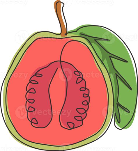 One Single Line Drawing Half Sliced Healthy Organic Java Guava For Orchard Logo Identity Fresh