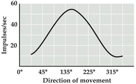 TB10 Tutorial Flashcards Quizlet