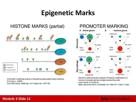 Canadian Bioinformatics Workshops Ppt Download