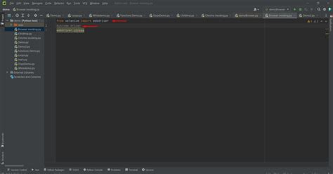 Selenium Python Invoke Chrome Browser And Load Site To Automate