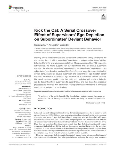 Pdf Kick The Cat A Serial Crossover Effect Of Supervisors Ego