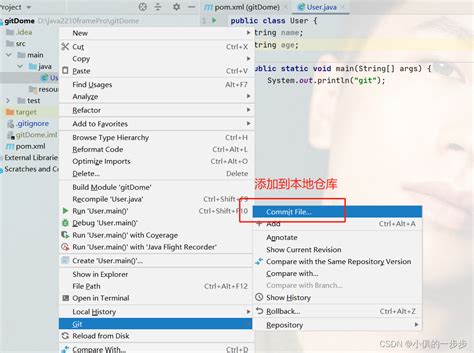 Git介绍集成到idea中使用gitee