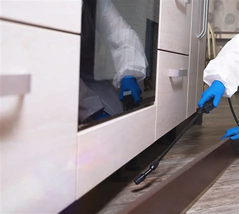 Independent Building Inspector Cabramatta Property Inspection