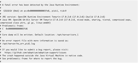 Fatal Error With Pulsar Client And Java 17open Jdk 17028 7 1937