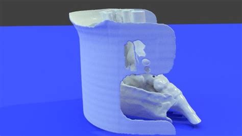 Ancle Testing Stl File Processed Democratiz3d® Processing