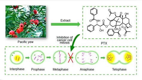 Figure 1 From Electrospun Self Emulsifying Core Shell Nanofibers For