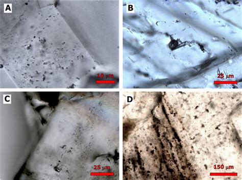 Fluid Inclusion Assemblages A Photomicrograph Ppl Of Fluid