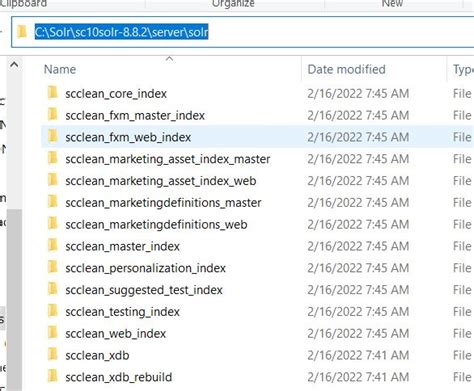 How To Create Solr Custom Core Index And Configure It For Sitecore Sitecore Blog