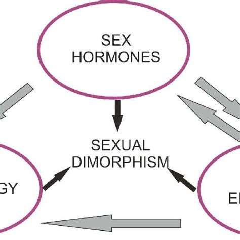 Mechanisms Regulating Sex Specific Responses To Neurodegenerative