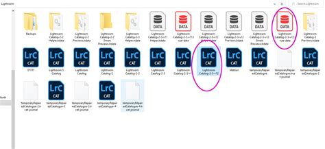 How Do I Restore Folders Of Files Accidentally Deleted Lightroom Queen Forums