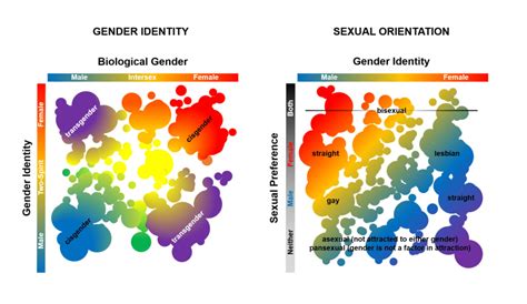 Spectrum Of Gender