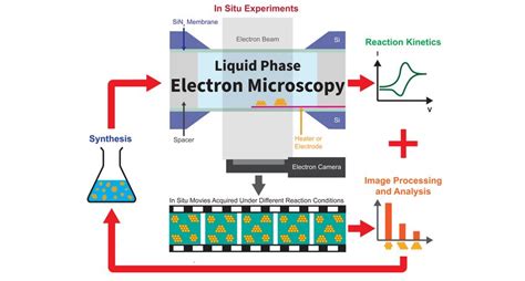 Liquid Phase Electron Microscopy