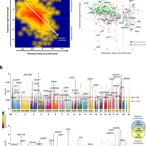 Integrative Analysis Of Dna Methylation And Transcriptome Data