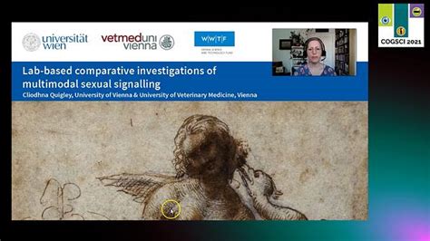 Underline Lab Based Comparative Investigations Of Multimodal Sexual Signalling