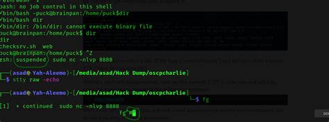 Linux Using Netcat Stty Not Giving Complete Tty Shell When Doing Cltr