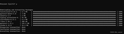windows11配置Anaconda Pytorch vscode python常用库 windows11 pytorch anaconda