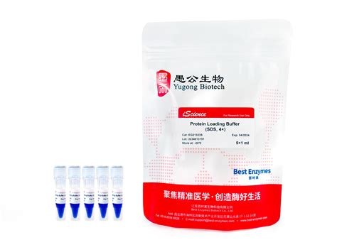 Protein Loading Buffer Sds 4×4×聚丙烯酰胺蛋白质上样缓冲液
