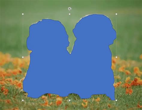 How To Blur Part Or Entire Image In PowerPoint Vegaslide