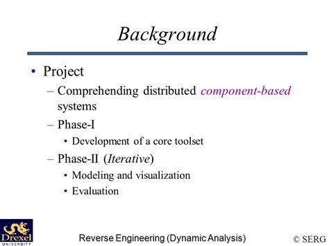 © Serg Reverse Engineering Dynamic Analysis Toward An Environment For Comprehending
