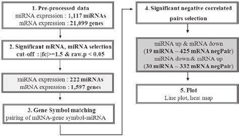 Data Analysis Flowchart Download Scientific Diagram