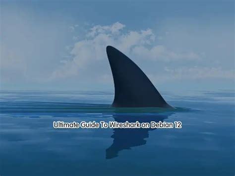 Ultimate Guide To Wireshark On Debian 12