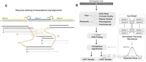 全基因组RNA RNA interactions捕获技术解读初 知乎