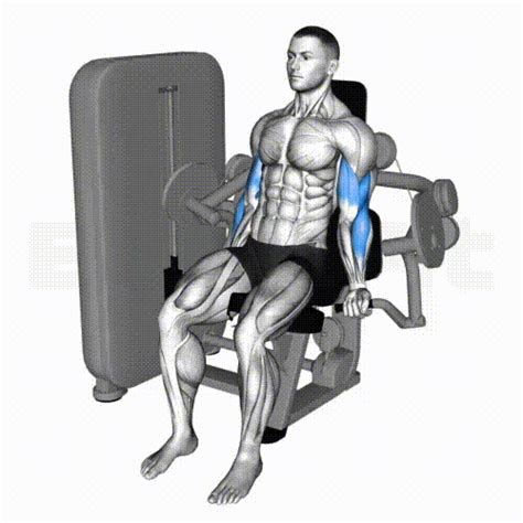 Arm Curl Machine Smash Your Limit Burnfit