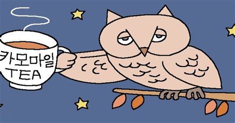 리빙포인트 잠이 안올 때는 카모마일 차