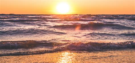 ejecutar test selenium en un contenedor docker compose devcodelight