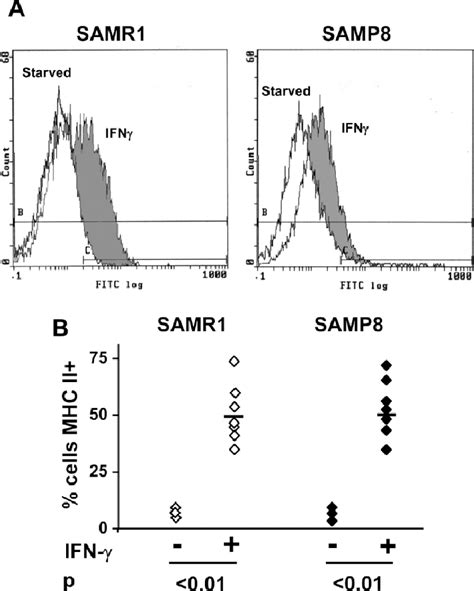 Similar Interferon C Ifn C Induction Of Major Histocompatibility