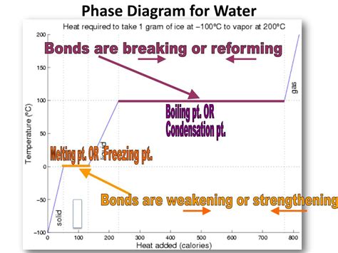 Ppt Phase Diagram For Water Powerpoint Presentation Free Download Id