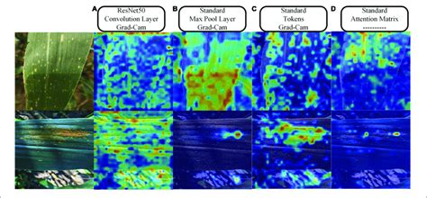 Visualization Results Of The Three Schemes A Grad Cam Method For Download Scientific