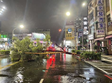 高雄市十全路樹倒幸無人傷亡