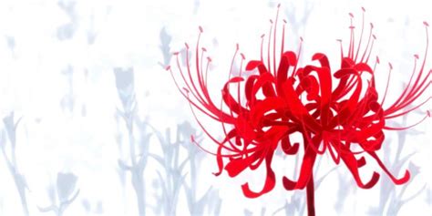 Exploring The Symbolism Of Death In Anime