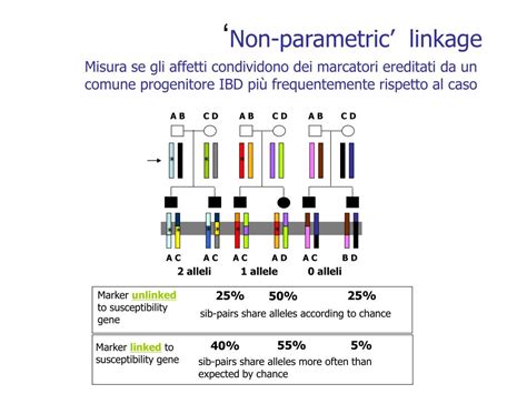 Ppt Caratteri Complessi Powerpoint Presentation Free Download Id6398353