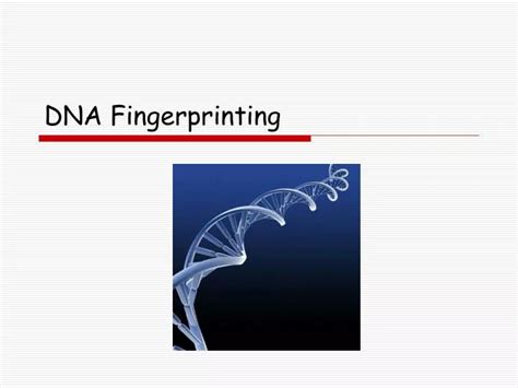 PPT DNA Fingerprinting PowerPoint Presentation Free Download ID
