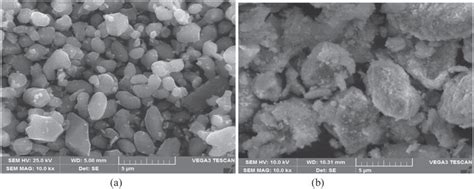 A Sem Image Of Tio2 Particles And B Redmud Download Scientific