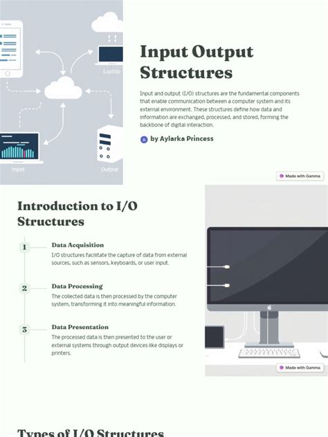 Input Output Structures Pdf