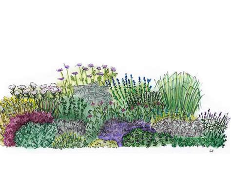 Beautiful Herb Garden Layout