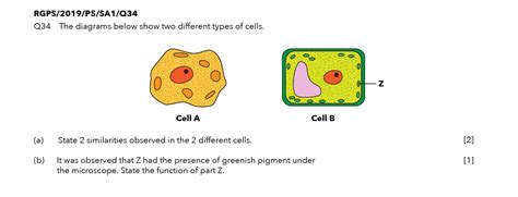 Cells How Are Cell Parts Tested In Examinations