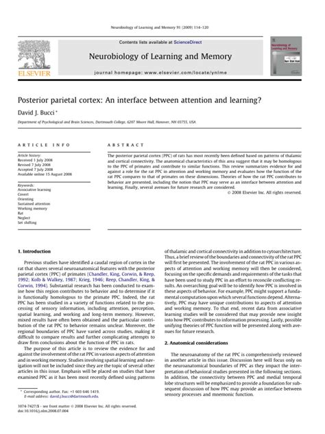 Posterior Parietal Cortex An Interface Between Attention And Learning Pdf Attention