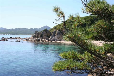 Природа Дальнего Востока особенности природы характеристика специфика и разнообразие